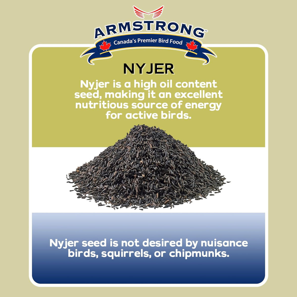 Armstrong Nyjer Seed 3.63kg – Clean Home Supplies
