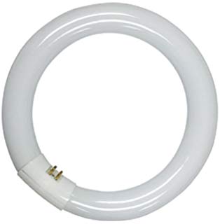 Aura Fly Light Replacement Bulb Shatter Shield Coated – TGX22S – Clean ...