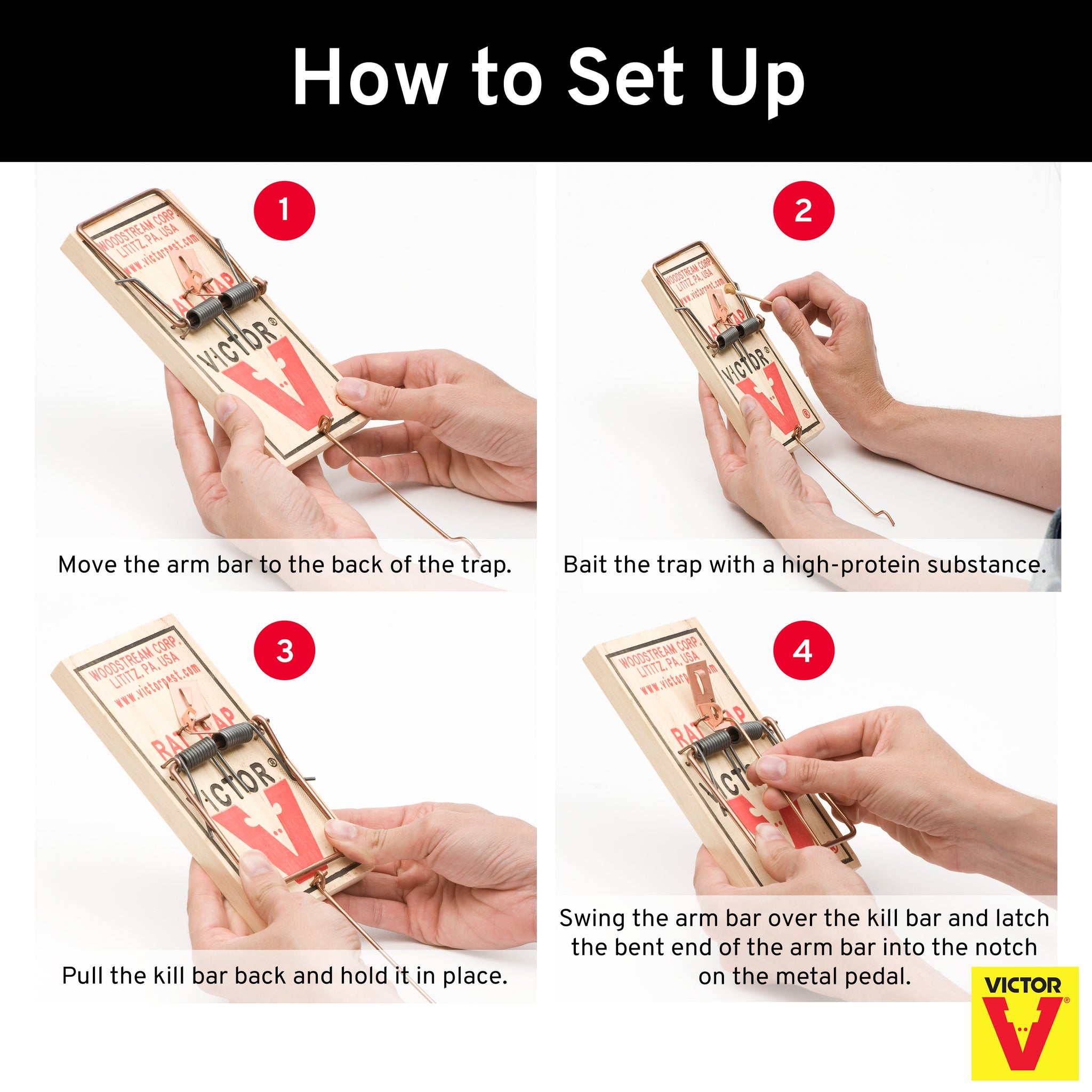 How to set a victor mouse trap with metal pedal store